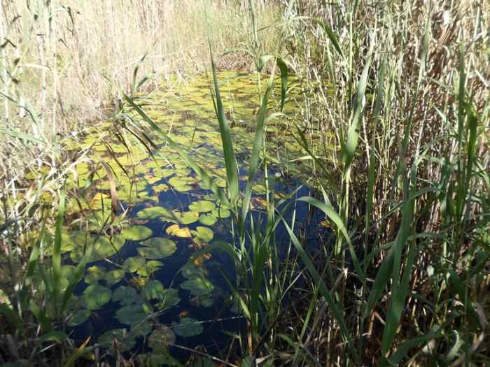 The Eye of the Groot Marico River, South Africa - HubPages