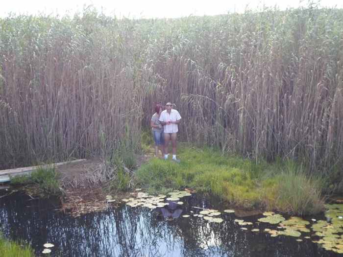 The Eye of the Groot Marico River, South Africa - HubPages
