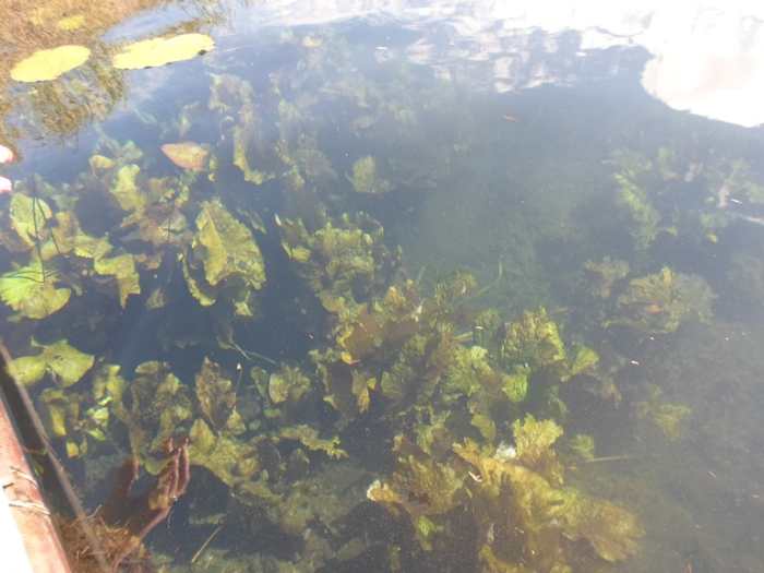 The Eye of the Groot Marico River, South Africa - HubPages