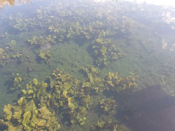 The Eye of the Groot Marico River, South Africa - HubPages