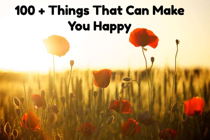 100 + Things That Can Make You Happy. - HubPages