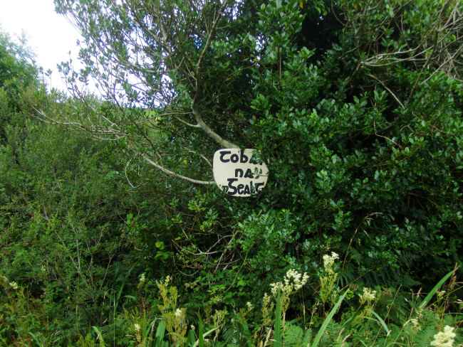 Curative Springs of Ireland - Gleann na nGealt, Valley of the Mad ...