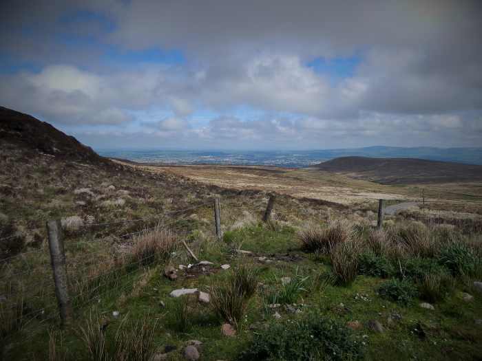 Curative Springs of Ireland - Gleann na nGealt, Valley of the Mad ...