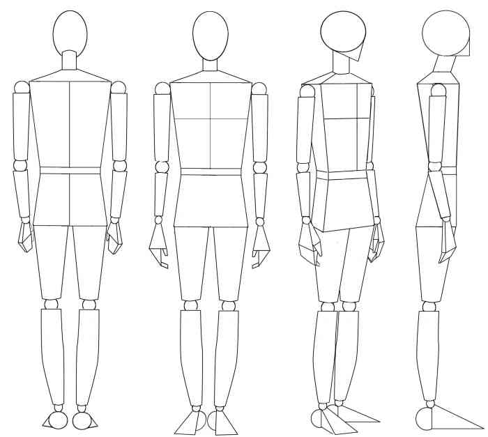 Drawing the Human Figure: Angles & Proportions - HubPages