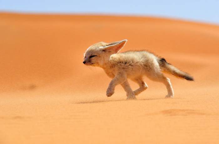 9 of the World's Hottest Deserts - HubPages