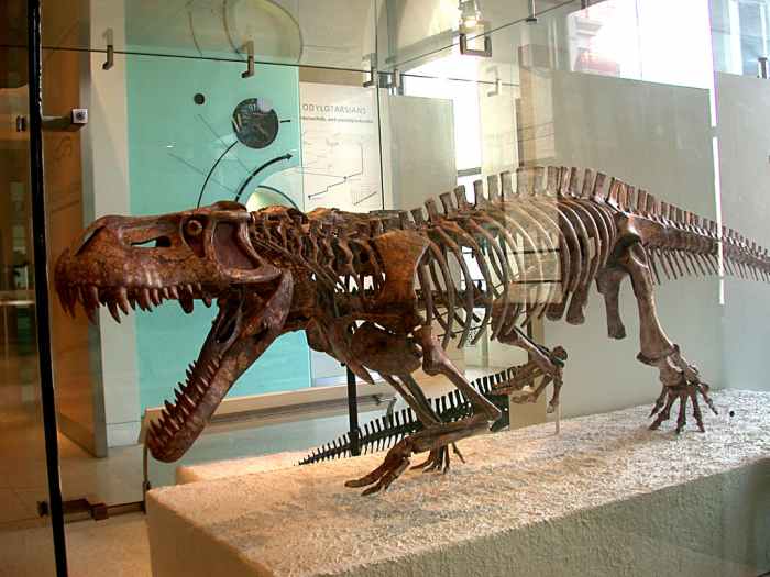 The Great Dying - HubPages