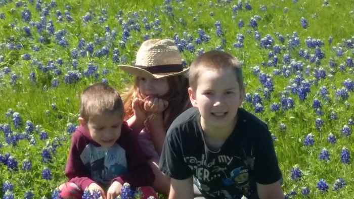 The Legend of the Pink Bluebonnets - HubPages