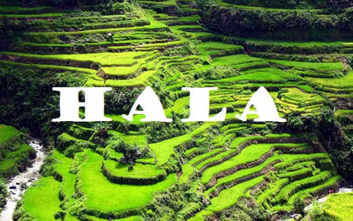 Popular Filipino Expressions and What They Mean - HubPages