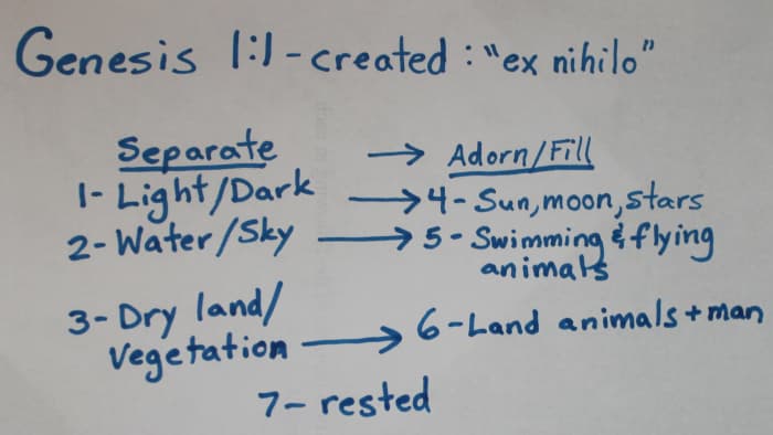 Creation and Science STEM Lesson Plan for Middle School Biology - HubPages
