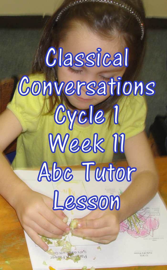 CC Cycle 1 Week 11 Plan for Abecedarian Tutors - HubPages