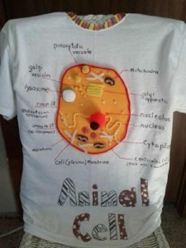 Animal Cell T-Shirt: Wear Your Biology Project to School - HubPages