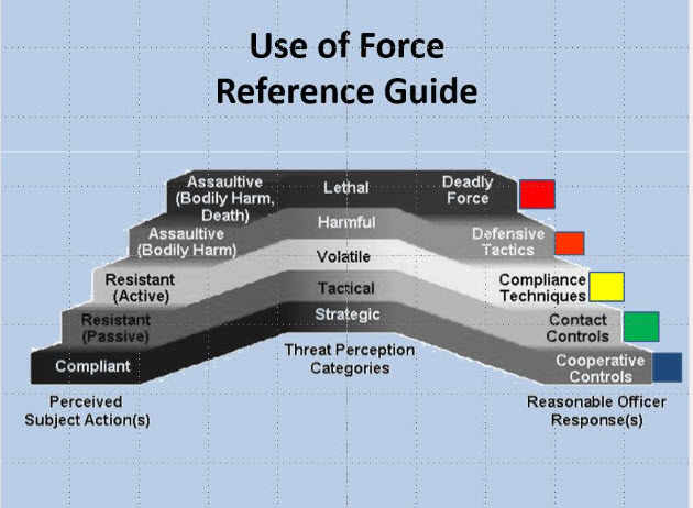 The Excessive Use of Force Against People of Color and the Lack of ...