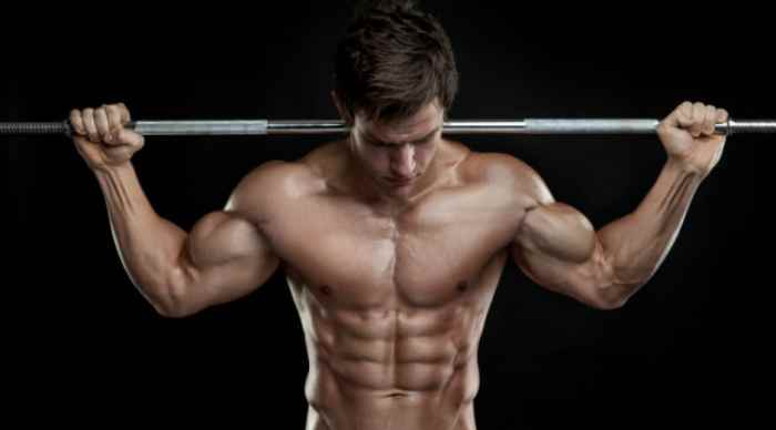 The Best Strength Training Program for Men - Vanity Muscles - HubPages