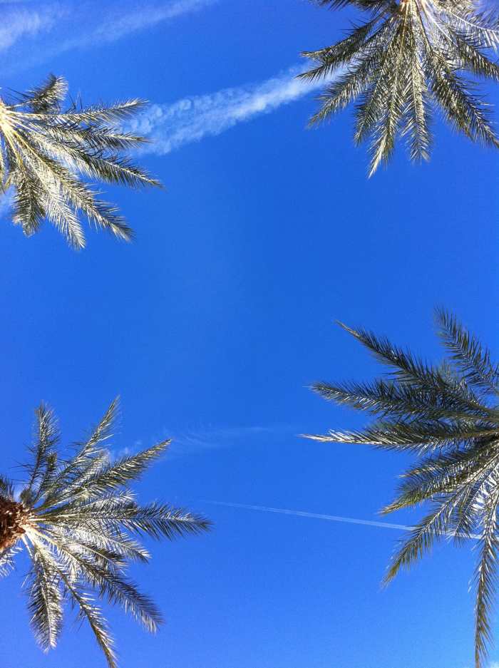 Living in Tropical Florida, Paradise Waiting for You and Your Money ...