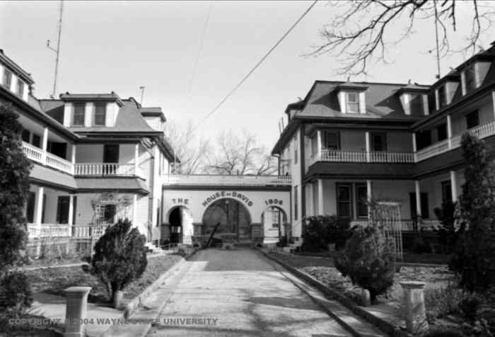 The House of David - HubPages