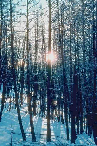 Noetic Sciences Definition & Experiments-Science of Subconscious Mind ...