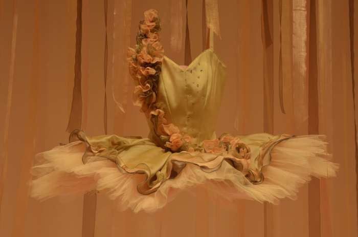 How to Choose and Care for a Professional Ballet Tutus - HubPages