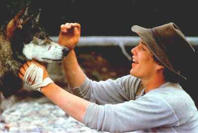 Jed the Movie Dog - HubPages