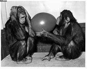 6 Signs You Might Be Crazy - HubPages