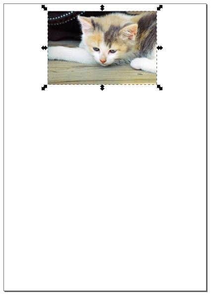 How To Make A Photo With Rounded Corners - HubPages