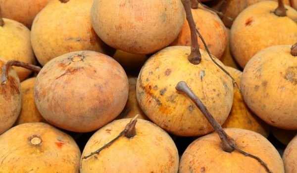 Fruits Found in the Philippines - HubPages