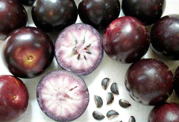 Fruits Found in the Philippines - HubPages
