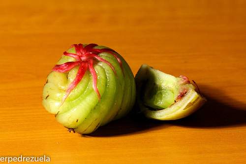 Fruits Found in the Philippines - HubPages