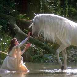 The Movie Legend by Ridley Scott Starring Tom Cruise, Mia Sara and Tim ...