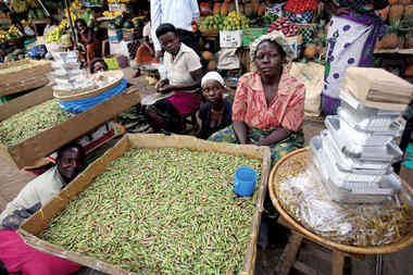 Ensenene - Uganda's Christmas gift from Nature - HubPages