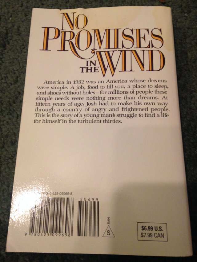 A Book Review of "No Promises in the Wind" by Irene Hunt - Owlcation
