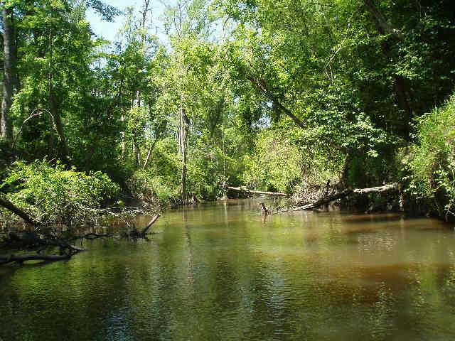 Canoeing the Tchefuncte River - HubPages