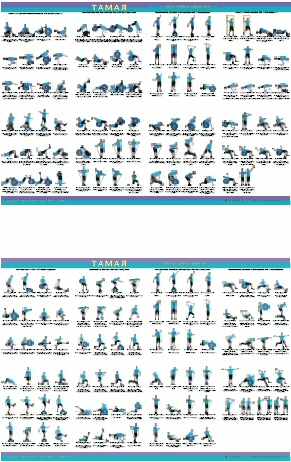Buy Medicine Ball Exercise Workout Posters Charts for Fitness for Your ...