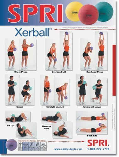 Buy Medicine Ball Exercise Workout Posters Charts for Fitness for Your ...