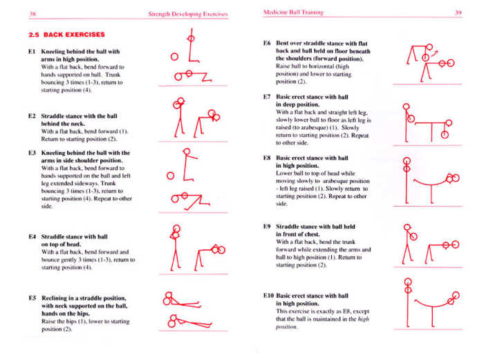 Buy Medicine Ball Exercise Workout Posters Charts for Fitness for Your ...