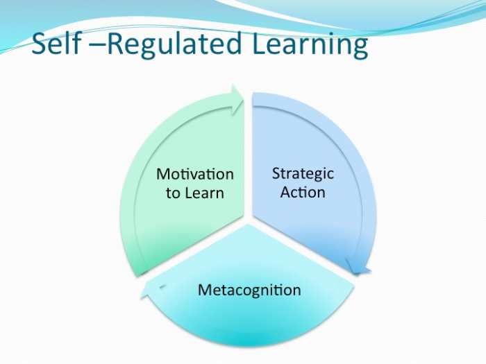 How to be a Self-Regulated Learner - HubPages