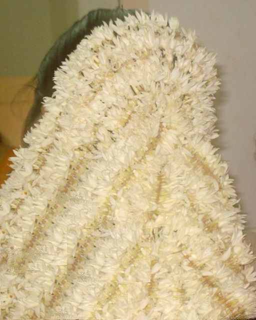 All About Jasmine Flowers - HubPages