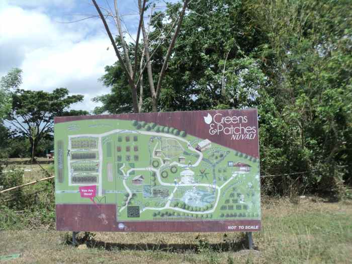 Nuvali Greens and Patches, Organic Demo Farm in Sta. Rosa Laguna ...