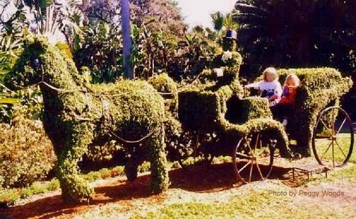 9 Spectacular Topiaries in Florida and What Inspired Them - HubPages