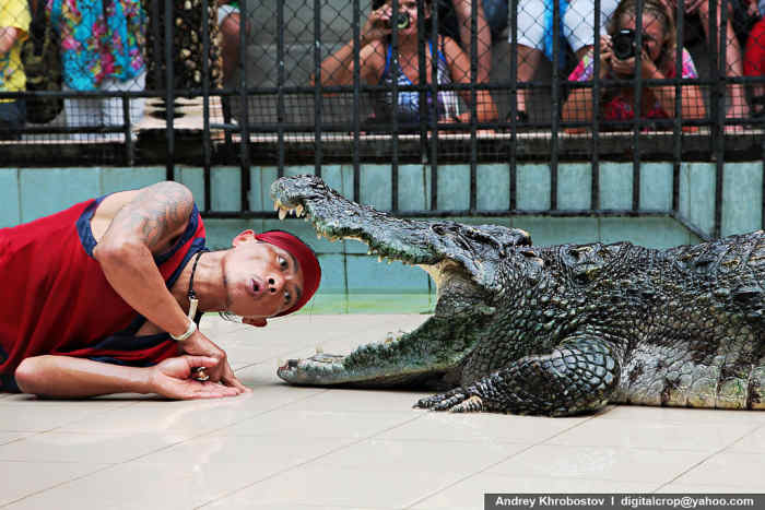What Makes a Good Zoo - A Personal Journey - HubPages