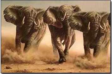 10 World's Favorite Animals - HubPages