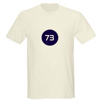 Sheldon Cooper's 73 Shirt: What Does it Mean? - HubPages
