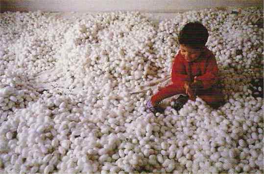 Shiny History of Silk - HubPages
