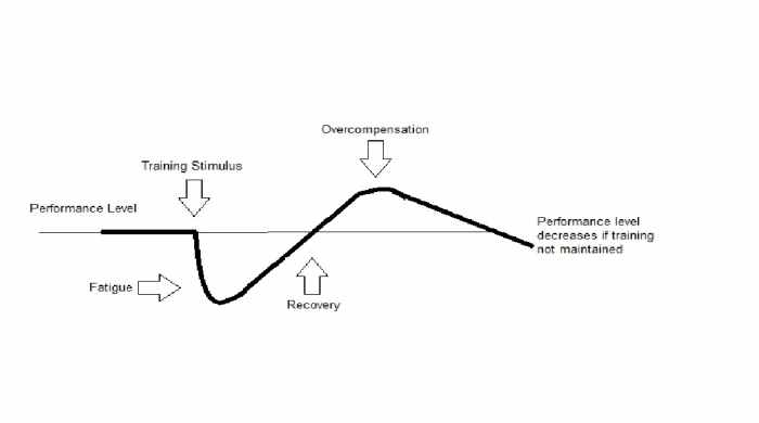 Superovercompensation And Overcompensation For Improved Athlete ...