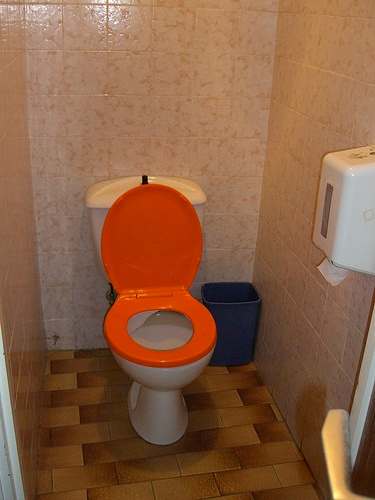 What causes orange stools / poo? - HubPages