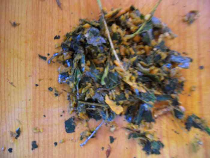 Medicinal Plants Poultice For Pain - HubPages