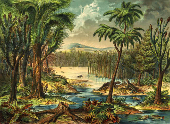 What Was Our Earth Like 300 Million Years Ago? - HubPages