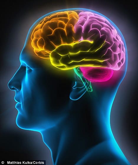 The Danger of False Memory - A Psychological Review - HubPages