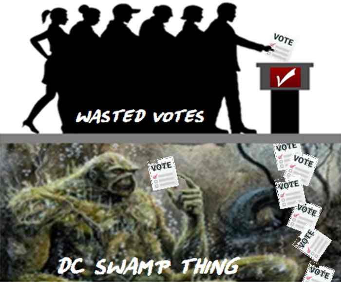 Libertarians and the Wasted Vote Fallacy - HubPages