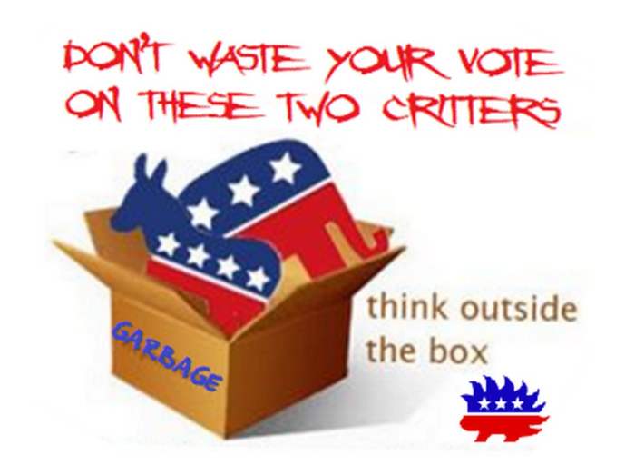Libertarians and the Wasted Vote Fallacy - HubPages