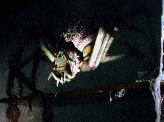 THE MIST Movie Creatures!!! - HubPages